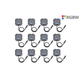 Stage Series RGBW LED Rock Light Kit (12-pack)
